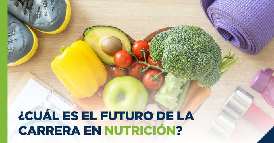 ¿Cuál es el campo laboral de un nutriólogo?